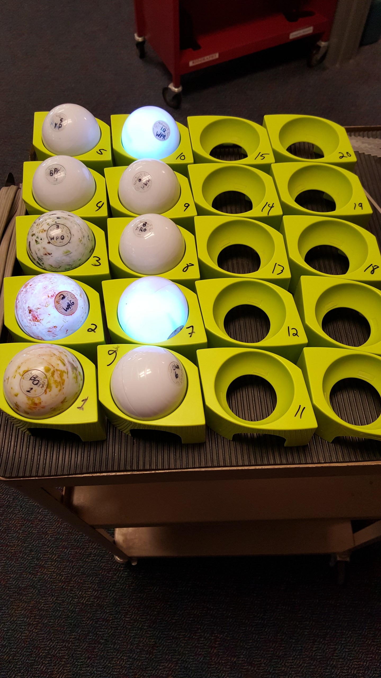 Sphero update- Organization Tip for using with classes | Petite Texan ...